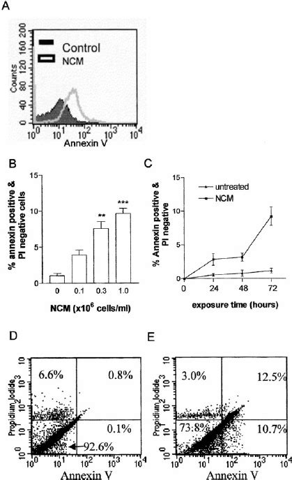 Morphologic Detection Of Apoptosis In Hasmc By Fluorescence Microscopy