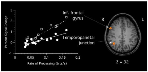Scatter Plot Showing The Correlation Between Brain Activation And