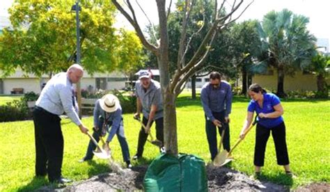 Florida Tech Earns Tree Campus Higher Education Recognition By The