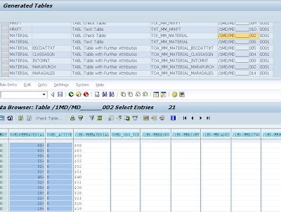 SAP MDG Curious SAP MDG Data Model A Walk Through