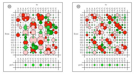 Comparison Of Basepair Substitution Rates Colored By Download Scientific Diagram