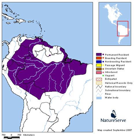 Americas Range Map Hoatzin