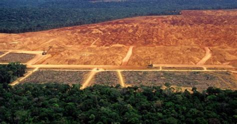 Brasile La Deforestazione Ritarda Le Piogge Laregionech