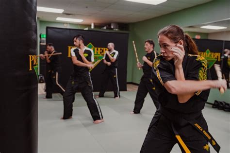Premier Martial Arts Brings Mixed Martial Arts Classes To Pflugerville