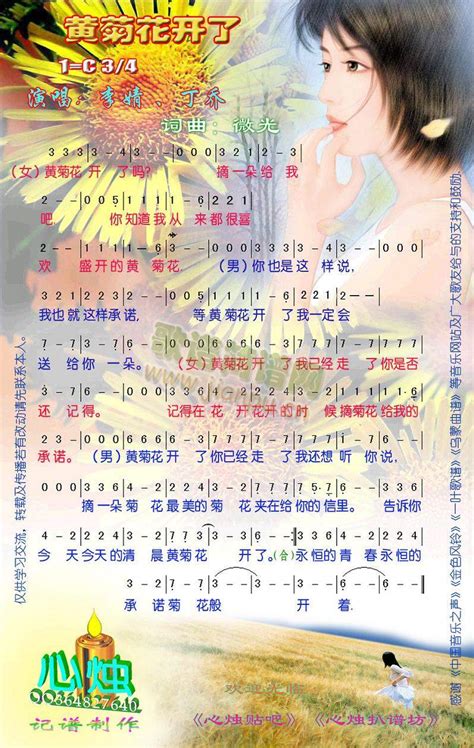 黄菊花开了 歌谱简谱网