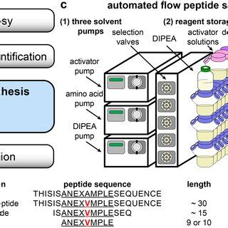 Peptide Design And Production For A Personalized Neoantigen Vaccine Download Scientific