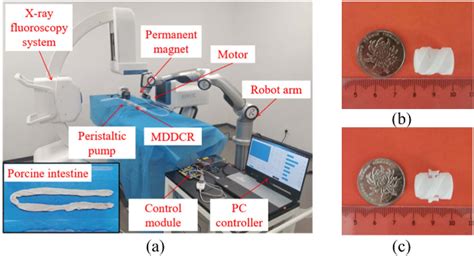Figure 8 From Design And Control Of A Miniaturized Magnetic Driven Deformable Capsule Robot For