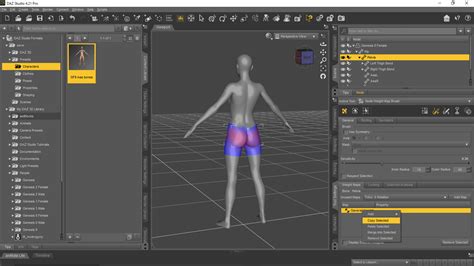 Can I Upload My Weight Map Daz 3d Forums