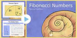 What Is The Fibonacci Sequence Answered Twinkl Teaching Wiki