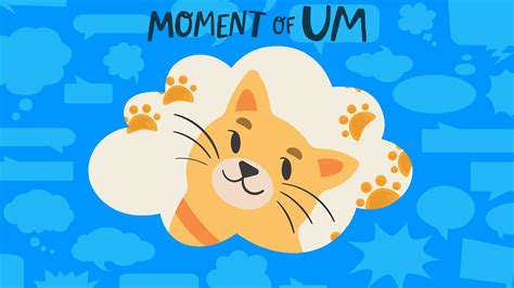 Why Do Cats Purr Moment Of Um