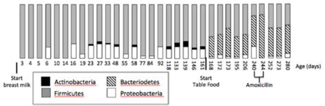 Microbial Diversity Flashcards Quizlet
