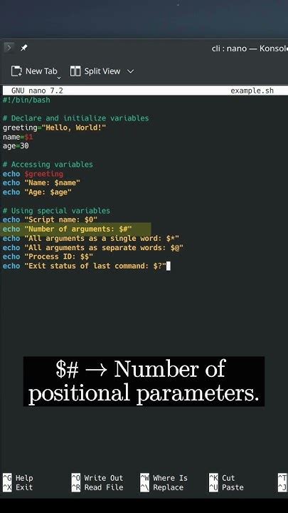 🐧 Linux Cli 54b 🐧 Shell Script Special Variables 🐧 Linux Shell Cli