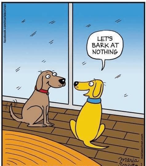 This Is So Much Relatable Rfunny