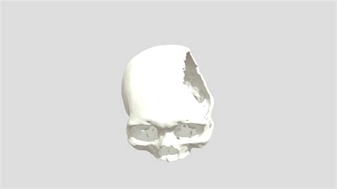 Scull Work Duplicate 3d Model By Tregubova [e689c45] Sketchfab