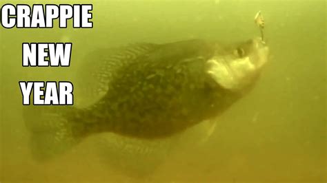 Crappie New Year Underwater Camera Youtube