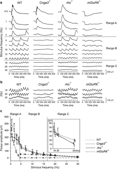Flicker Erg Frequency Series At A Fixed Stimulus Luminance Of 05 Log Download Scientific