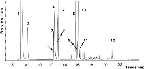 Selective Ion Monitoring Gas Chromatogram Of Compounds Produced By 5