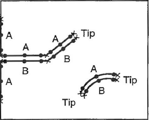 Modelling Strategy For Dual Boundary Element Method Download