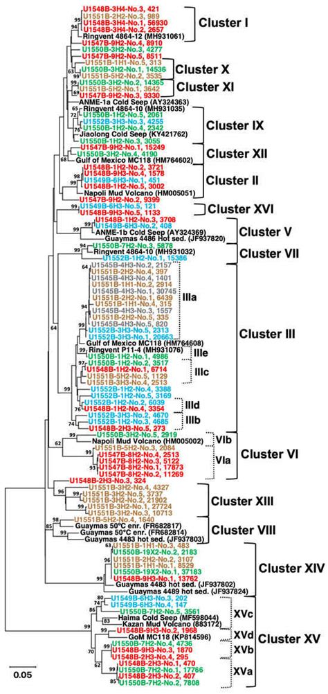 Microorganisms Special Issue Microbial Communities Involved In The