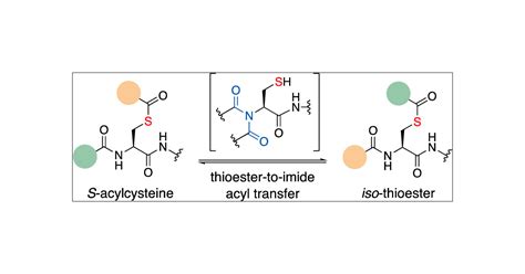 Thioester Functional Group