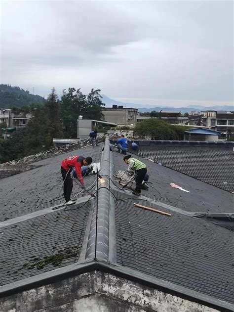 都江堰校区综合办开展校园树木枯枝专项清理工作 四川农业大学新闻网