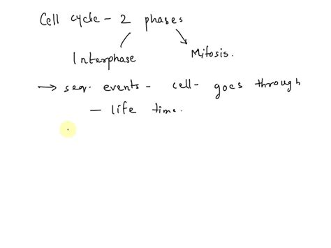 Solved True Or False The Cell Cycle Is Composed Of The Interphase Which Is A Non Dividing