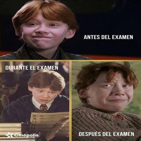 Memes De Examenes Finales Graciosos Para Compartir Mundo Imagenes