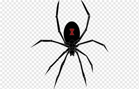 Redback العنكبوت الأرملة السوداء الجنوبية ، الكرتون العناكب أسود أرملة