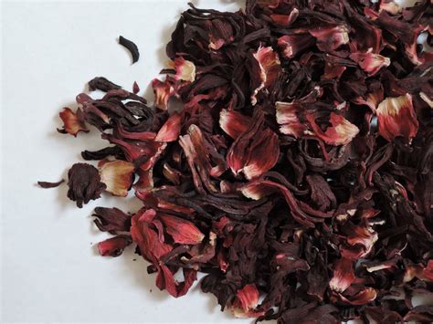 Aprenda como fazer chá de hibisco a flor de um jeito fácil