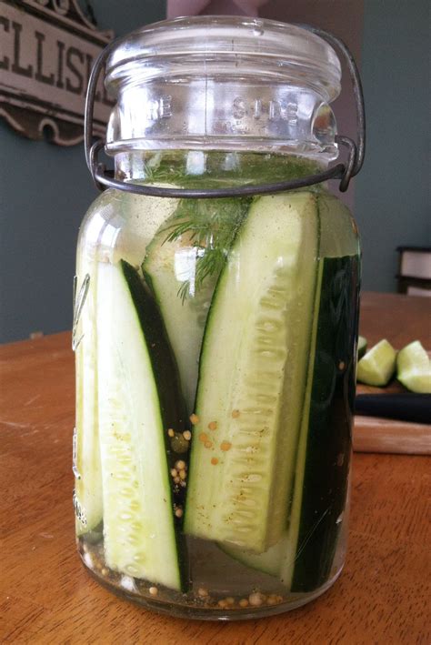 Easy To Follow Fermentation Recipes For Beginners Artofit