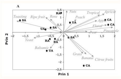 核主成分分析全球百科