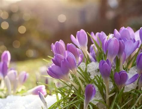 Вижте прогнозата за времето през следващите дни