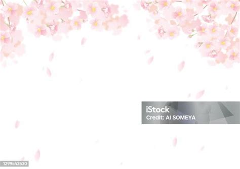 美麗的櫻花框架向量圖形及更多傳單圖片 傳單 櫻花 可愛 Istock
