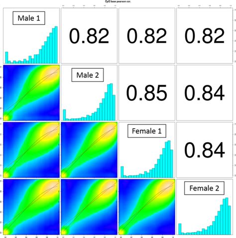 Genome Wide Methylation Analysis Identified Sexually Dimorphic