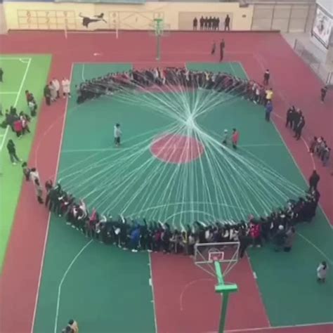 sravani g posted on linkedin