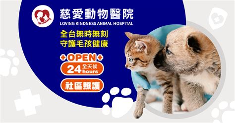 慈愛動物醫院 24h急診 過年不打烊 春節照常營業