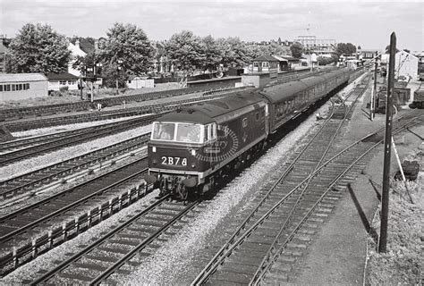 The Transport Library Br British Railways Diesel Locomotive D7004