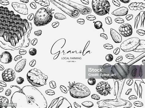 그래놀라 뮤즐리 또는 오트밀 음식 벡터 라벨 템플릿입니다 아침 식사 스케치 과일 견과류를 곁들인 시리얼 0명에 대한 스톡 벡터 아트 및 기타 이미지 Istock