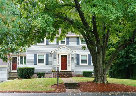 Where To Plant Trees In Front Yard Placement Tips And Advice