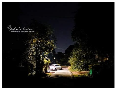 pushpak chakraborty pushpak originals instagram photos and videos