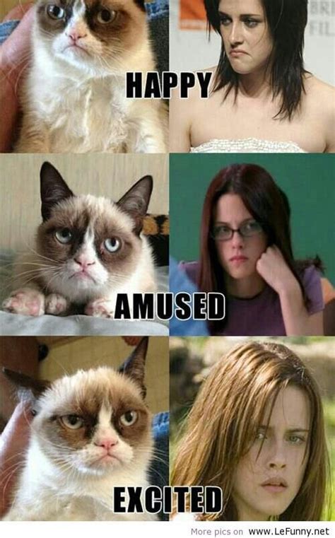 Human Version Of Crumpy Cat Xpost R Funny Pics