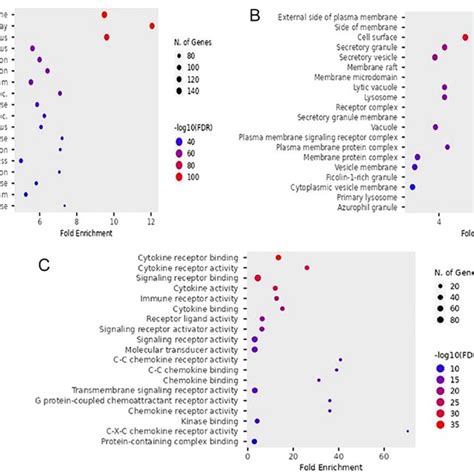 Gene Ontology Function Enrichment Analysis A Biological Process Download Scientific Diagram