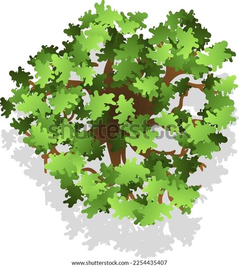 Architecture Design Plan Element Green Tree Stock Vector Royalty Free 2254435407 Shutterstock