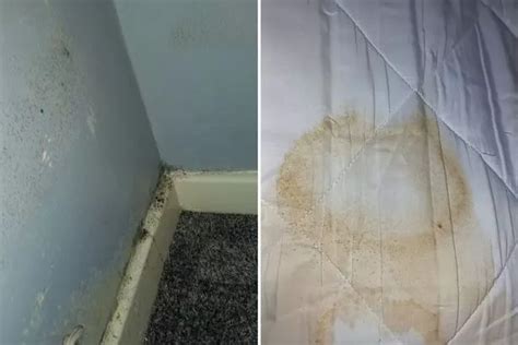 Mum Forced To Sleep On Living Room Floor With Daughter One In Damp