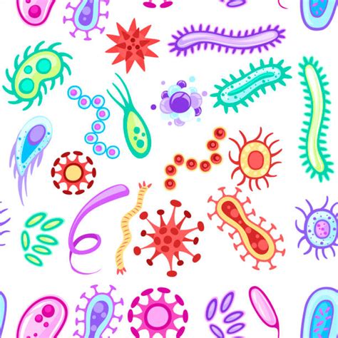 Imagen De De Patrones Sin Fisuras Bacterias Y Virus Colecciones De