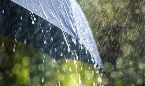 Lluvia significado espiritual y en la Biblia significado en el cumpleaños
