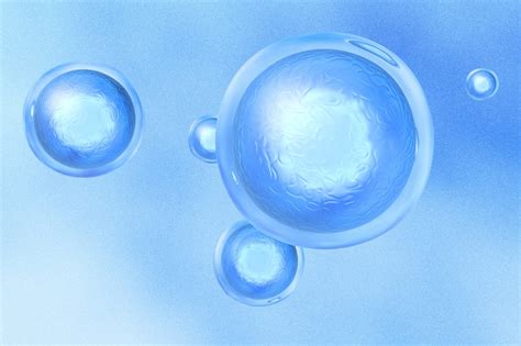 膝エクソソーム注射エックスクリニック｜x Clinic｜―本気なら、エックス― エイジングケア専門、目の下のたるみ取り・クマ治療、二重整形・美容皮膚