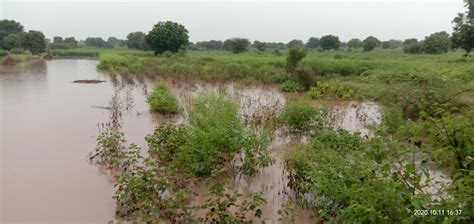 नगर जिल्ह्यात दीड लाख हेक्टर पिकांची नासाडी