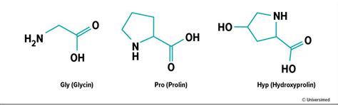 Mythen Und Fakten Der Oralen Kollagensupplementation Plastische
