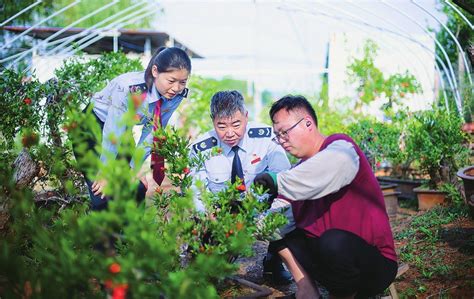 国家税务总局安徽省税务局 媒体税讯 【中国税务报】向“三农”领域延伸办税缴费服务
